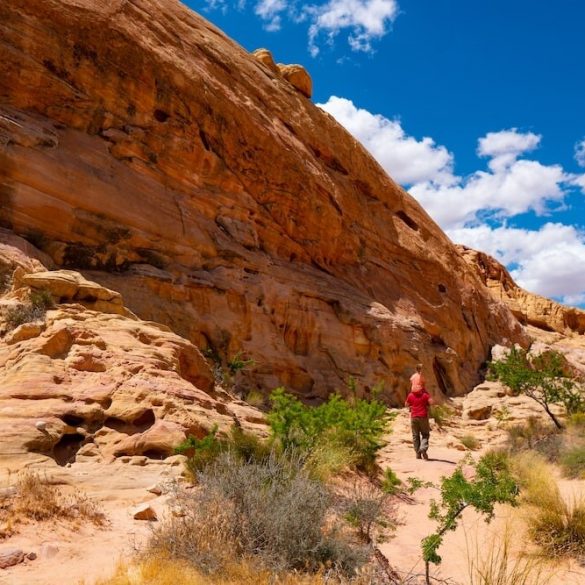 Property Highlight: The Palms at Peccole Ranch Apartments Las Vegas